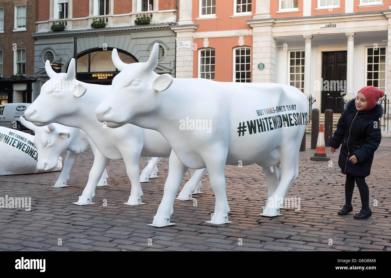 Farmer-Owned dairy marque Stock Photo - Alamy Farmer-Owned dairy marque Stock Photo - Alamy