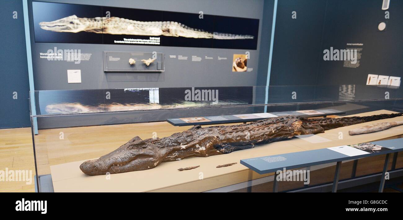 Bc buildings museum hi-res stock photography and images - Alamy