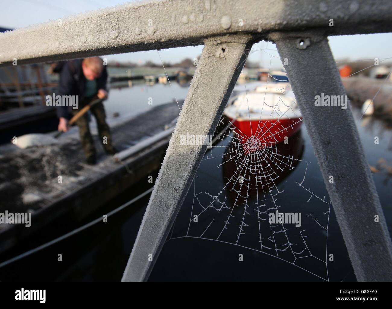 A spider web at the Forth and Clyde canal at the Kelpies near Falkirk ...