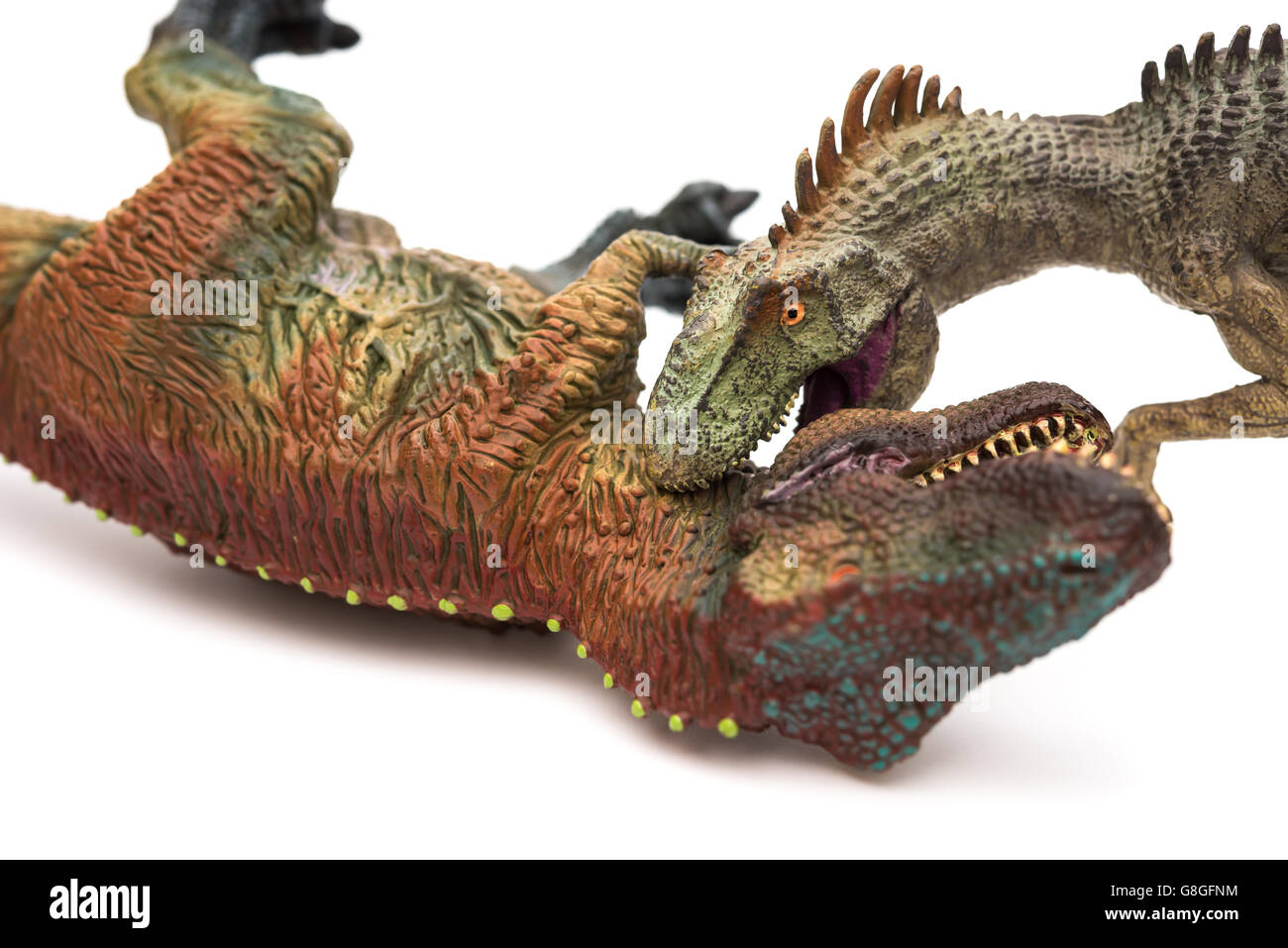 allosaurus biting tyrannosaurus toys on a white background Stock Photo ...