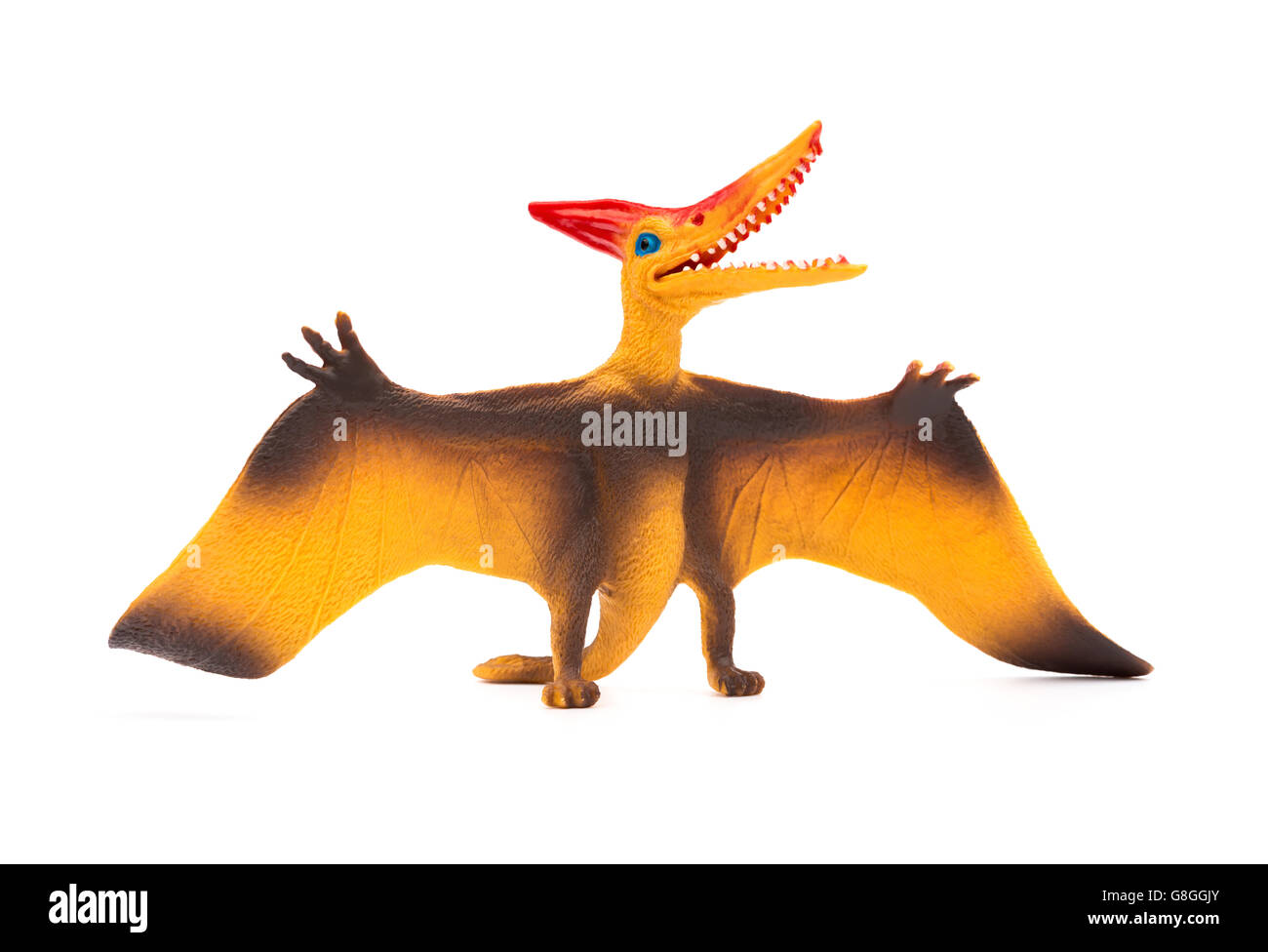 Prehistoric pterosaurs hi-res stock photography and images - Alamy