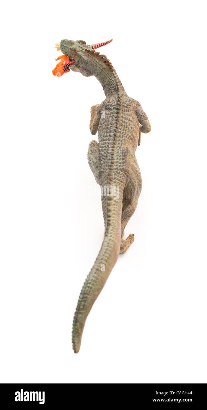 top view grey allosaurus toy catching a smaller disonaur on white ...