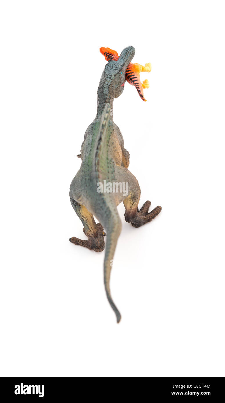 top view grey spinosaurus toy catching a smaller disonaur on white ...