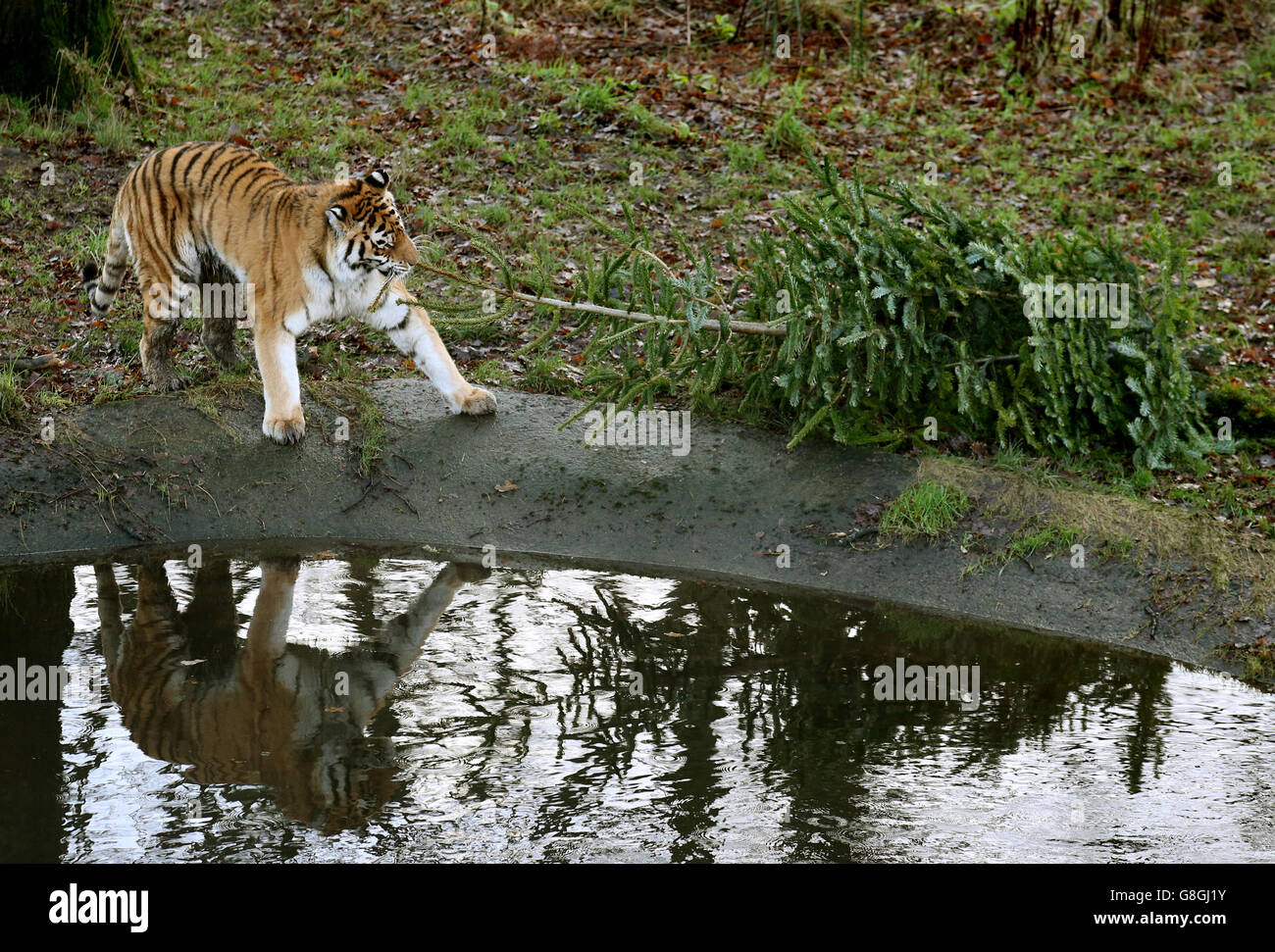 Sense of smell hi-res stock photography and images - Alamy