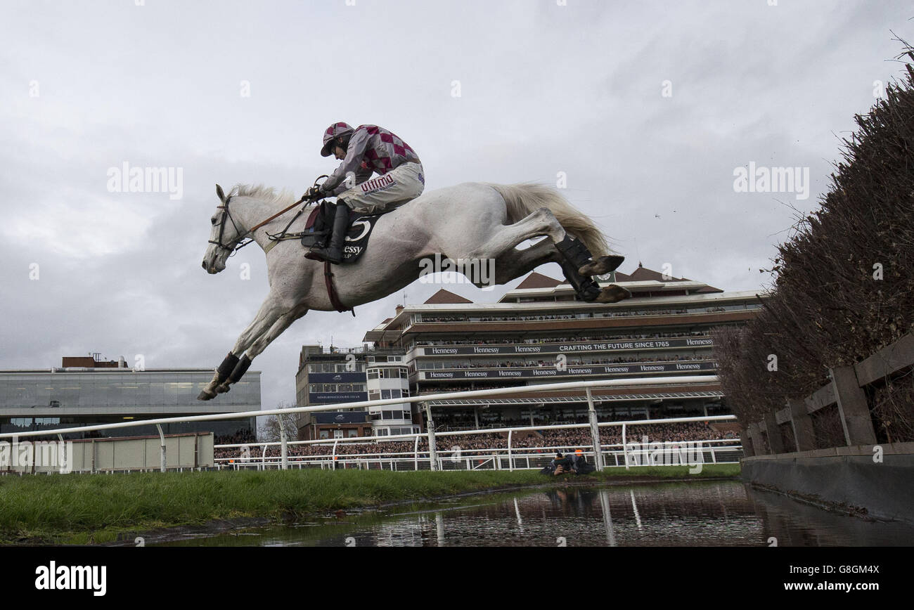 Smad Place ridden by Wayne Hutchinson clears the water jump before ...