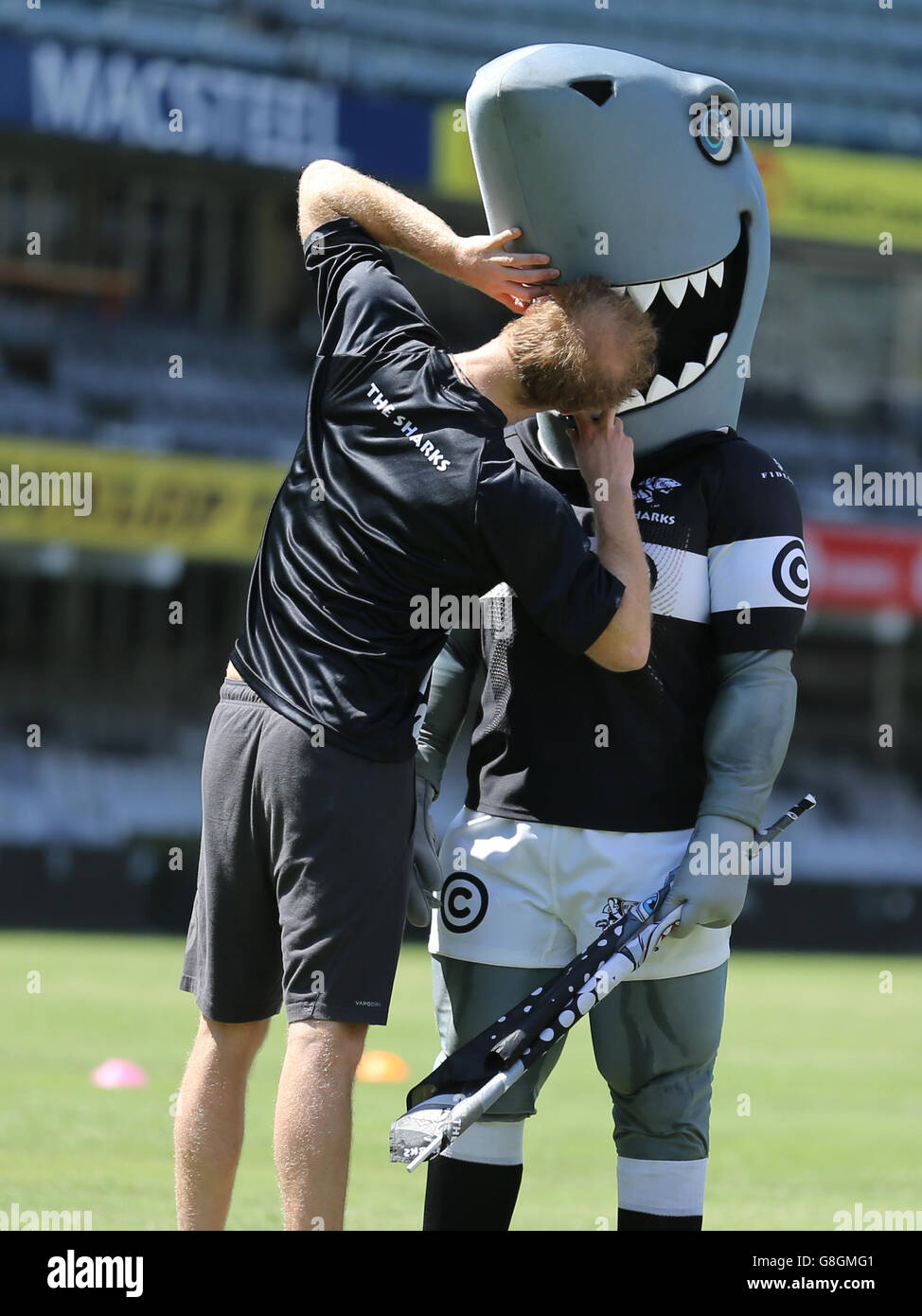 Kings park stadium sharks hi-res stock photography and images - Alamy