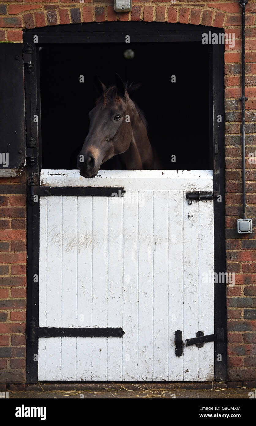 Oliver sherwood stables visit hi-res stock photography and images - Alamy