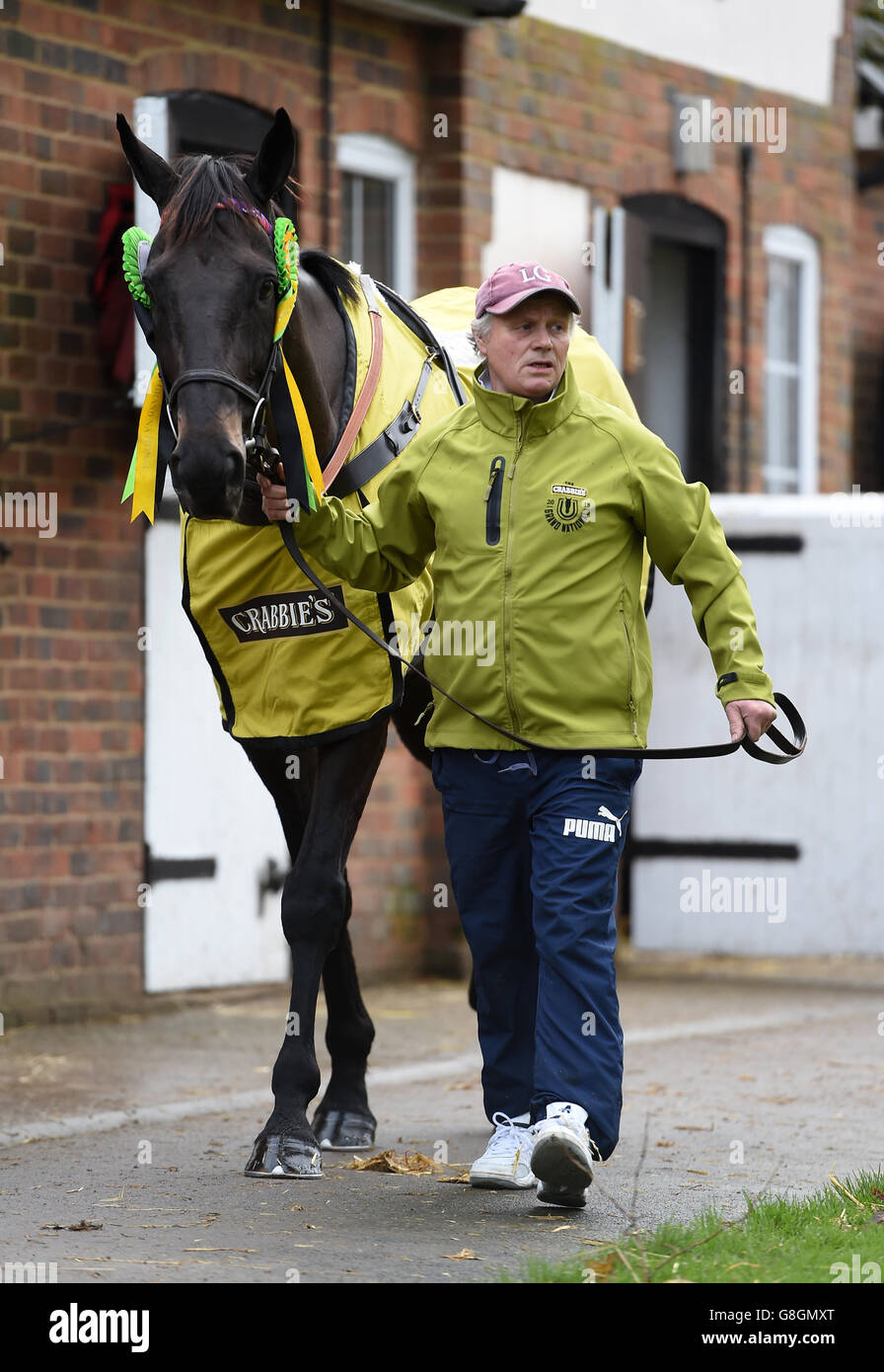 Horse racing oliver sherwood stables visit hi-res stock photography and ...