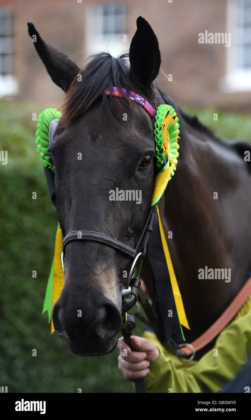 2015 Crabbies Grand National Winner Many Clouds is lead around the yard ...