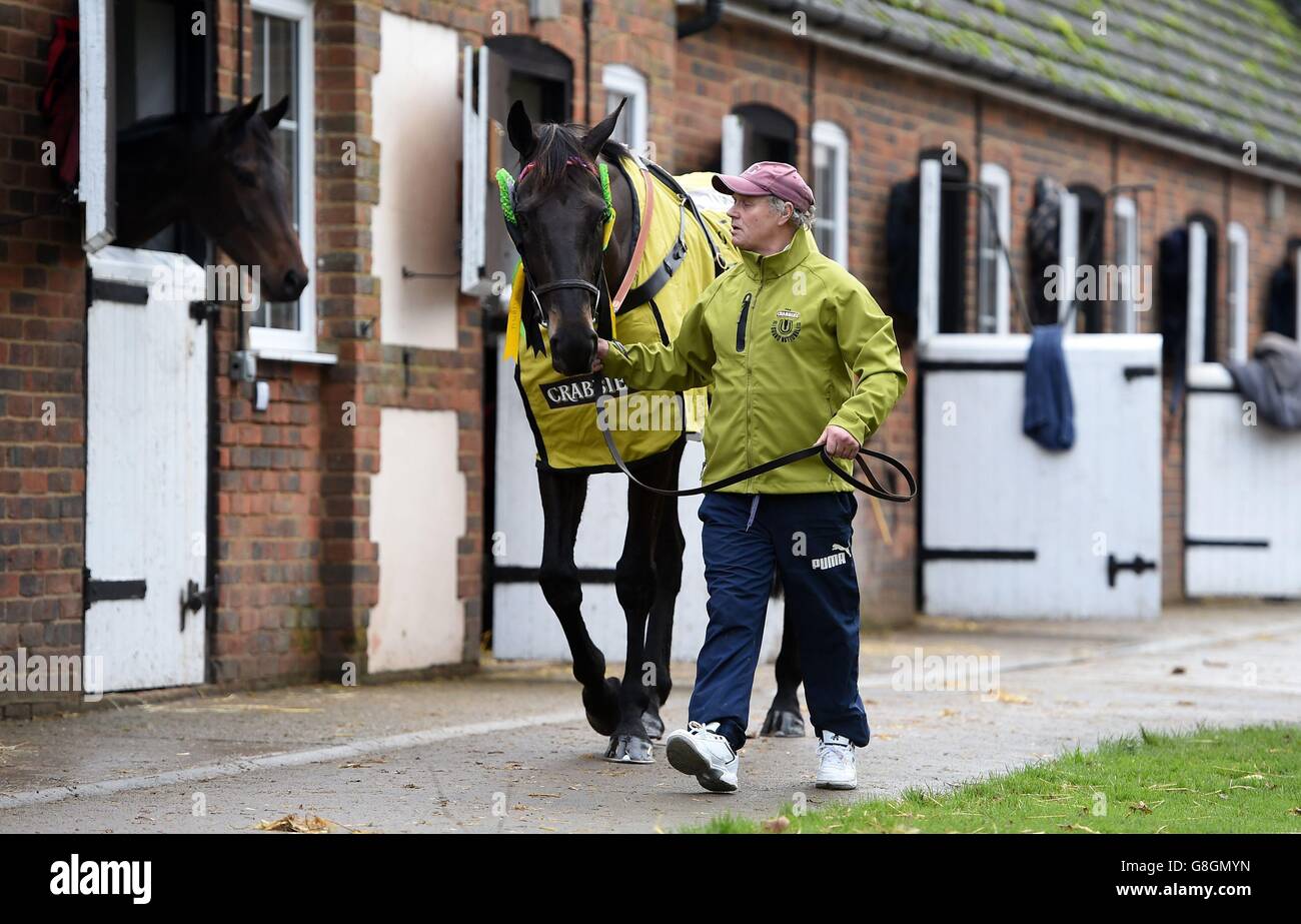 Oliver Sherwood Stable Visit Stock Photo - Alamy