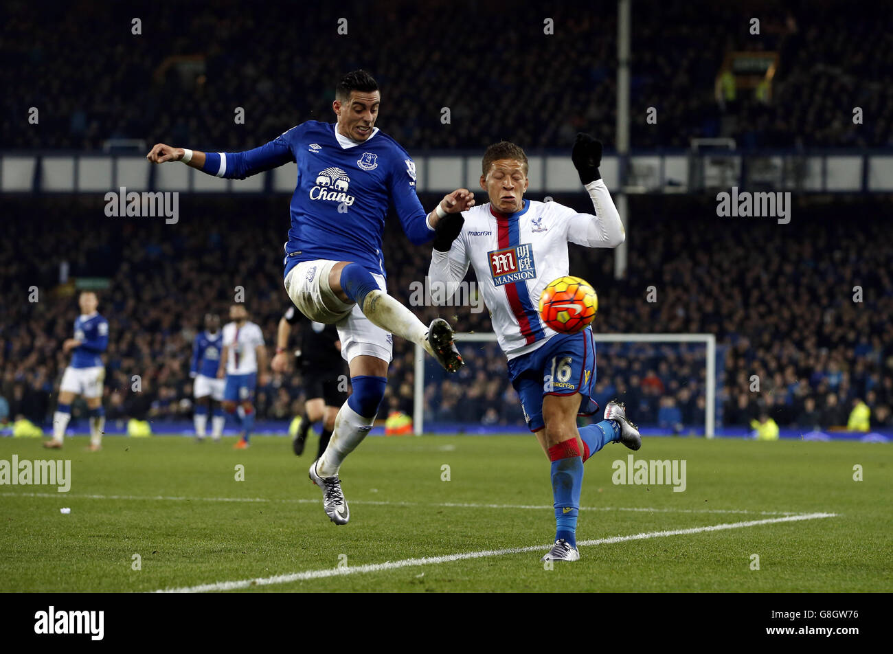 Crystal Palace's Dwight Gayle and Everton's Ramiro Funes Mori (left ...