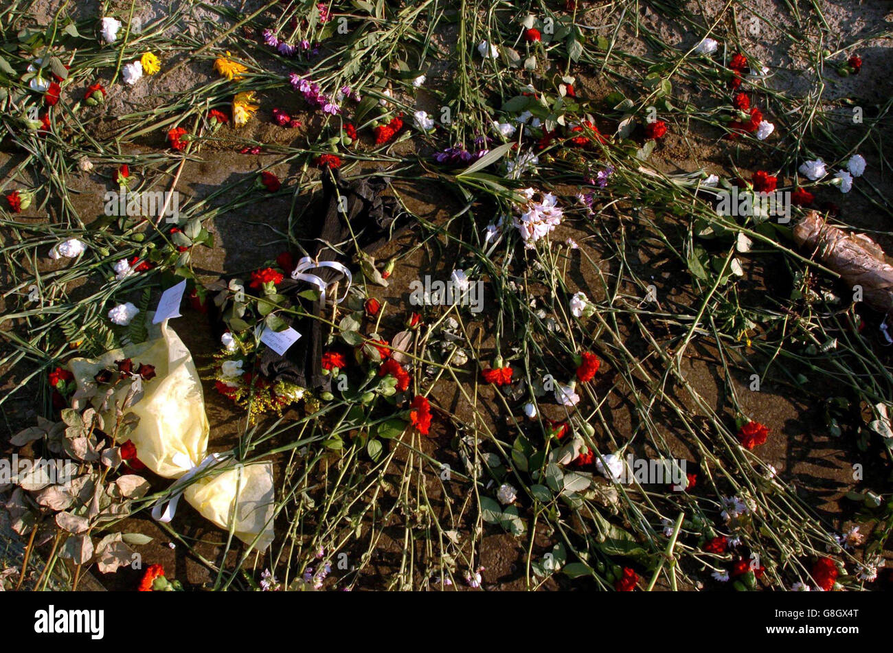 Blast flowers hi-res stock photography and images - Alamy