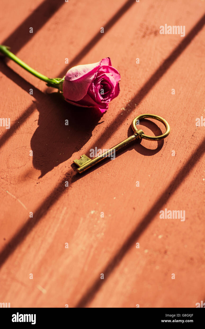 Mystery rose hi-res stock photography and images - Alamy