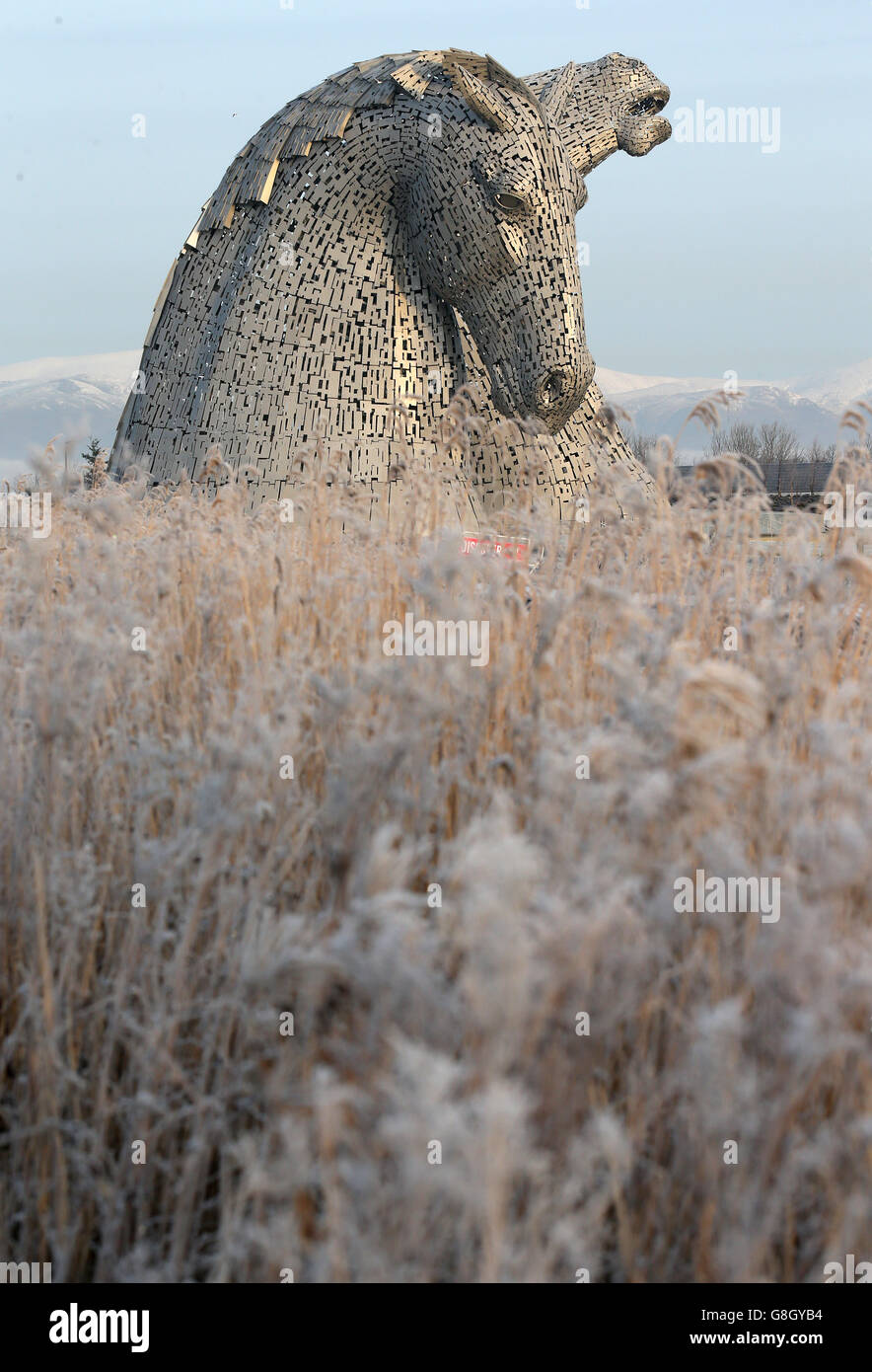 The Kelpies in early morning sunshine on the Forth and Clyde canal near ...