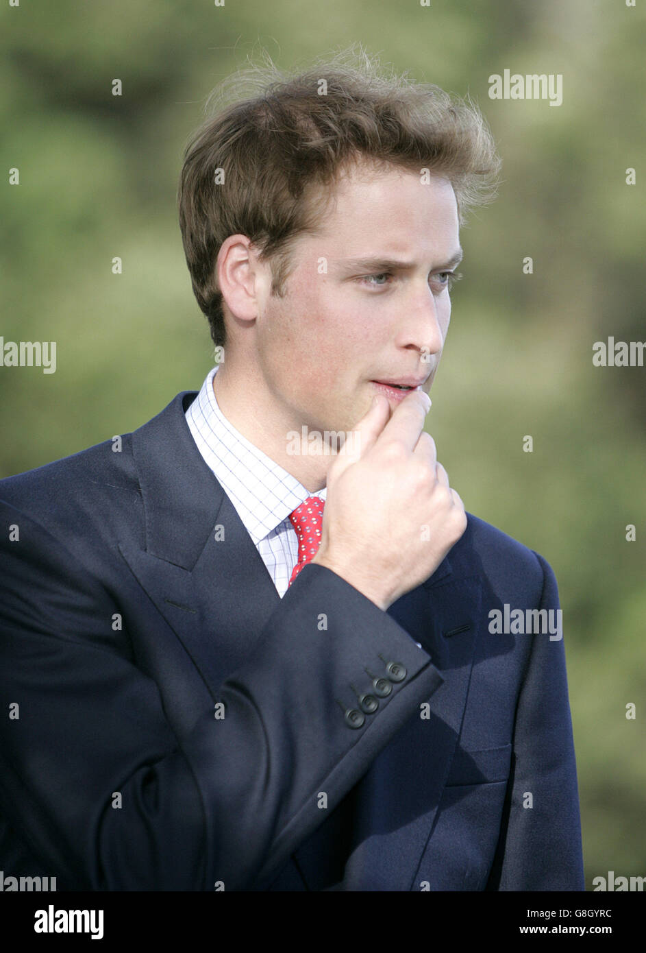 Totara tree hi-res stock photography and images - Alamy