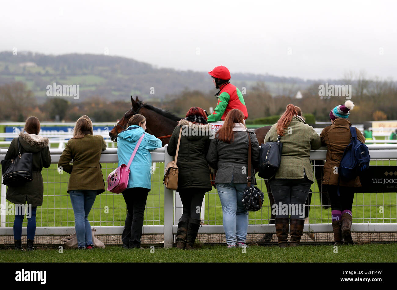 Cheltenham flyer hi-res stock photography and images - Alamy