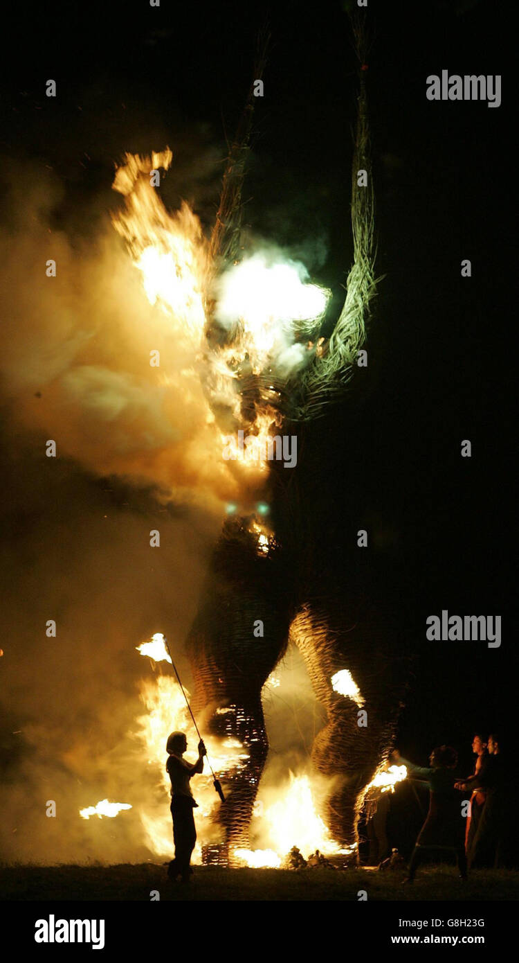 Fire dancers torch a giant Wicker Man, about 35 feet in height, which ...