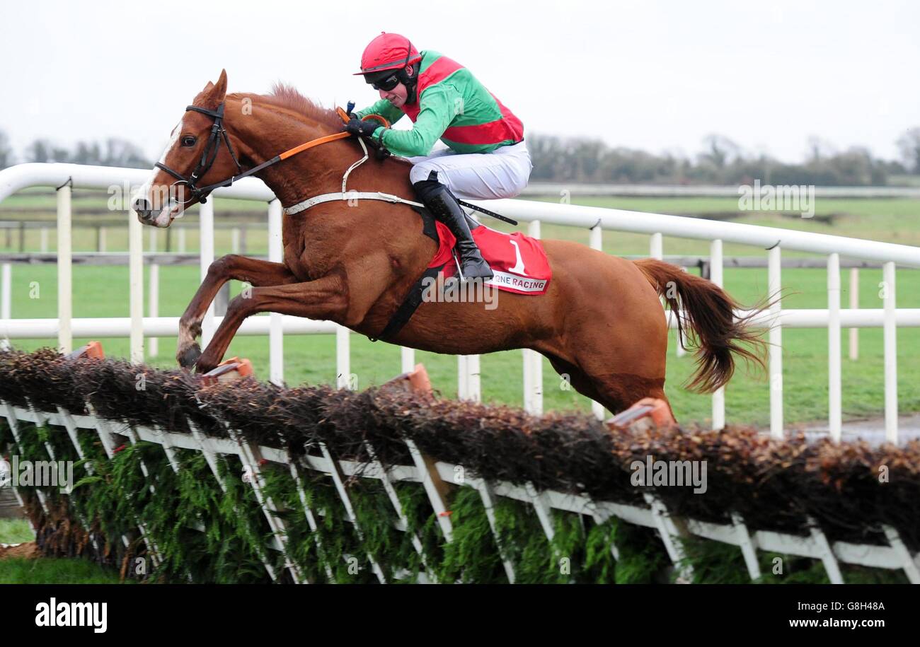 Rashaan and jockey Mikey Fogarty jump the last to win the Bar One ...