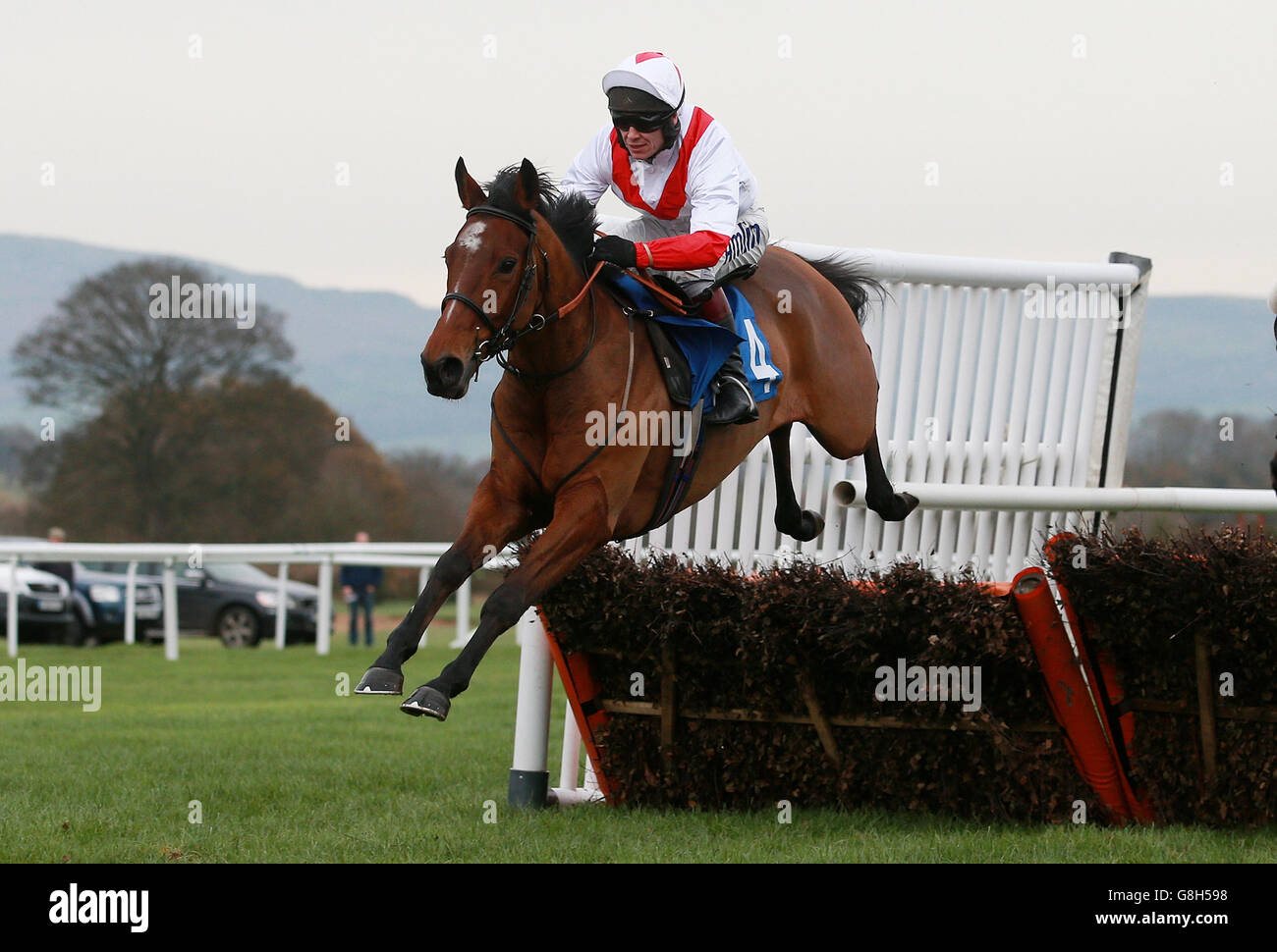 Jockey richard johnson ludlow racecourse hi-res stock photography and ...