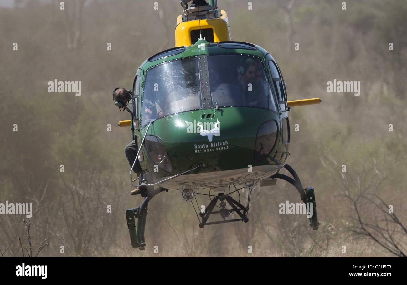 Rhino kruger helicopter hi-res stock photography and images - Alamy