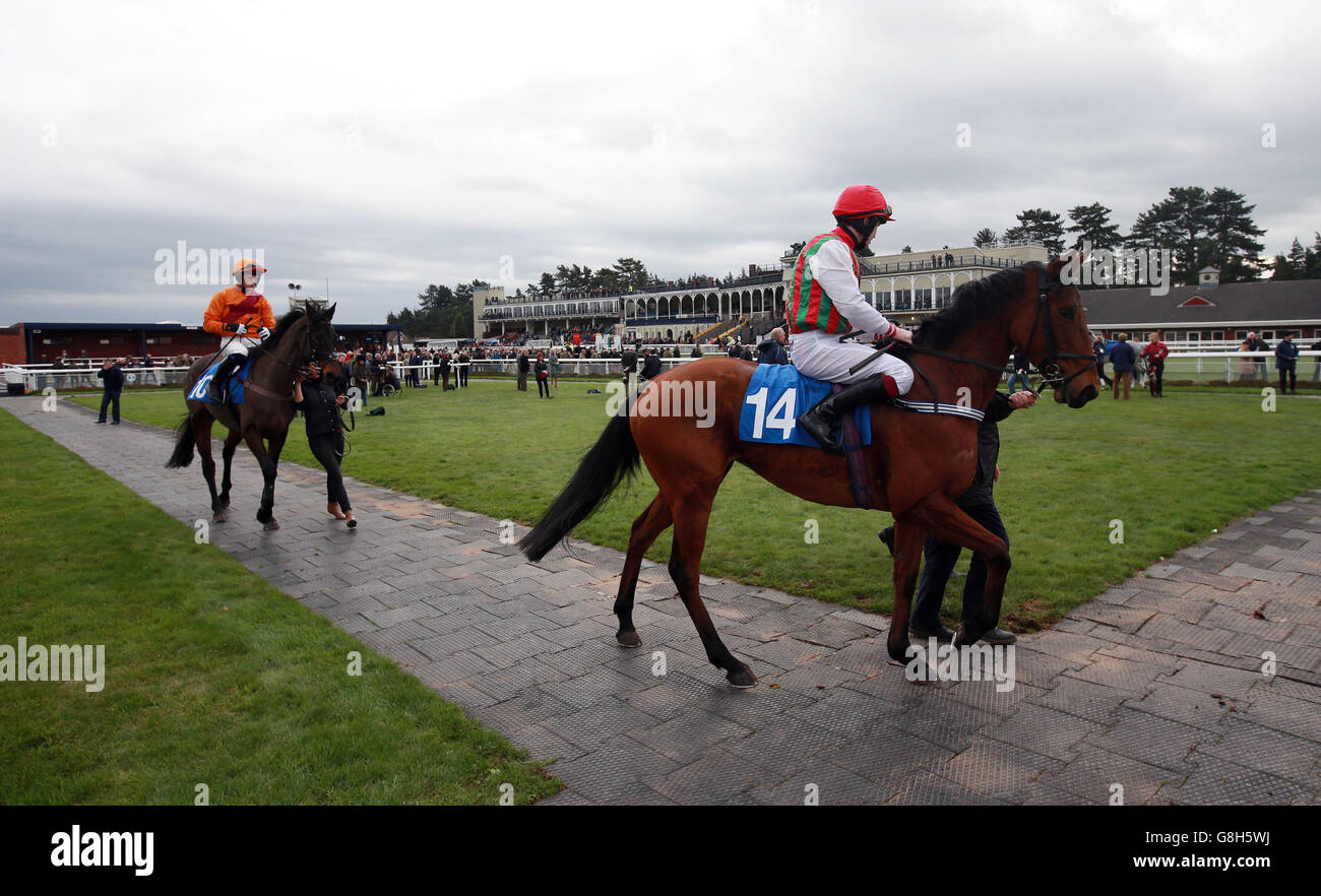 Ludlow Races. Claiming Hurdle at Ludlow Racecourse Stock Photo - Alamy