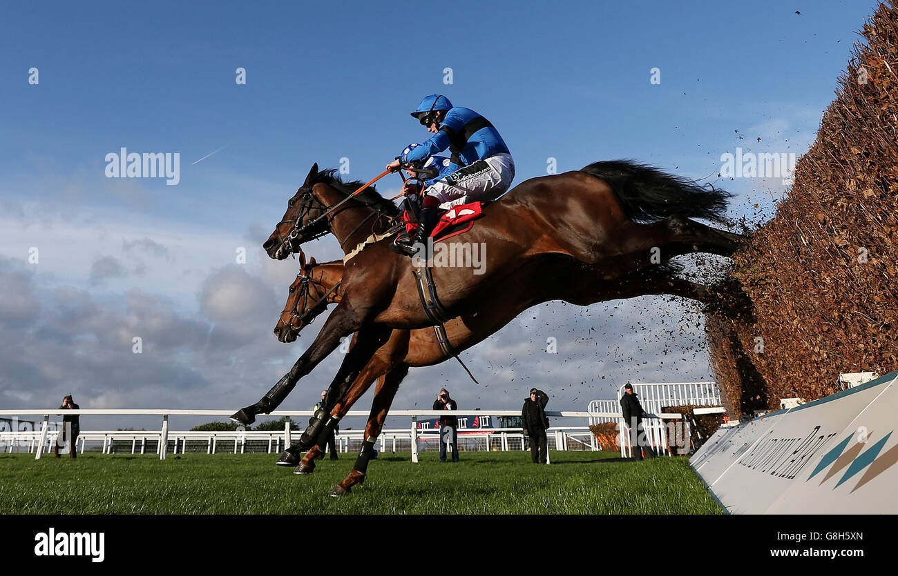 Eventual winner Vision Des Champs ridden by Andrew Glassonbury jumps ...