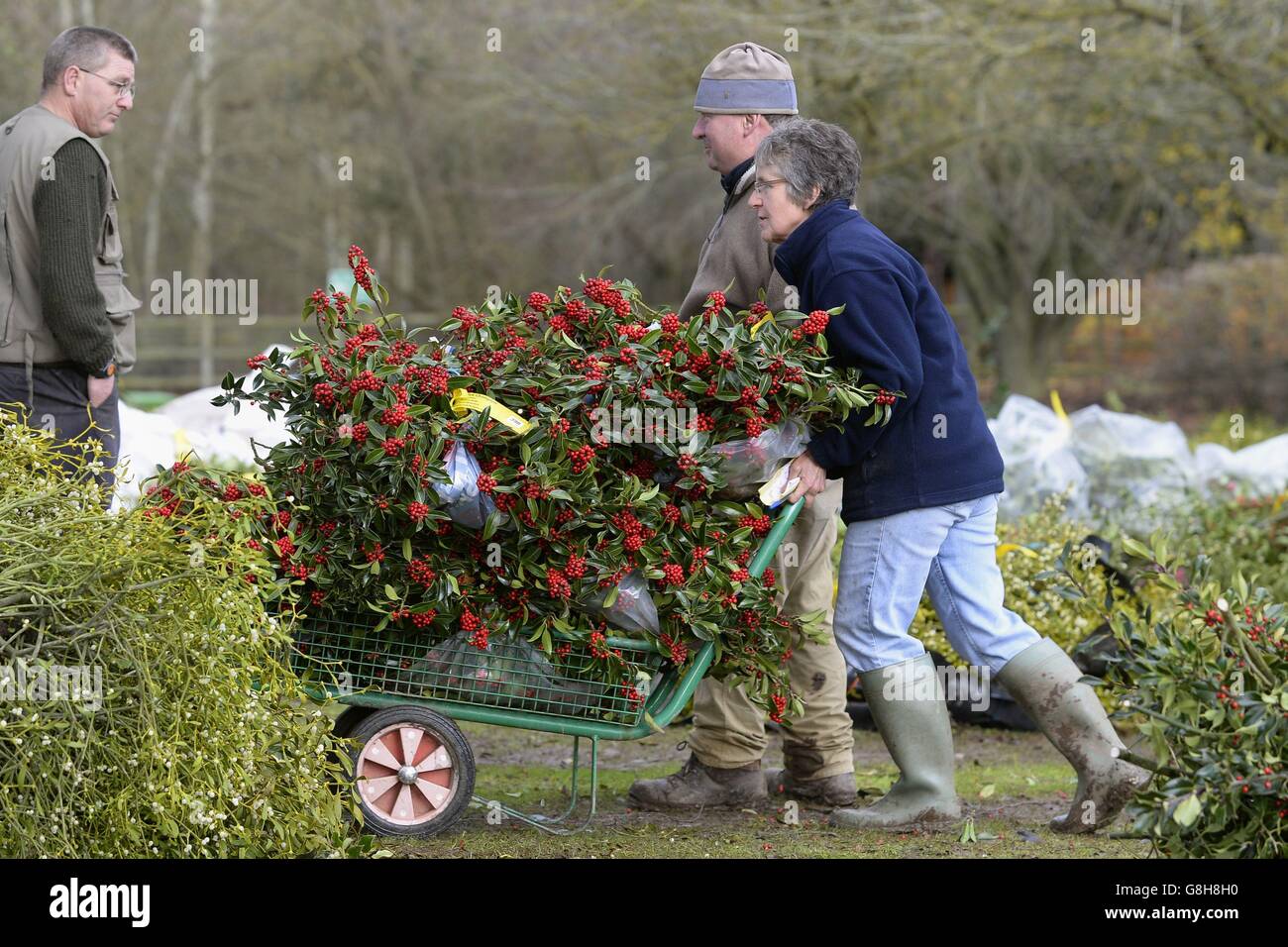 Burford house mistletoe hi-res stock photography and images - Alamy