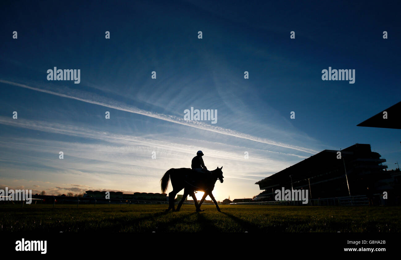 Always Tipsy ridden by Stephen Mulqueen make their way in after the ...