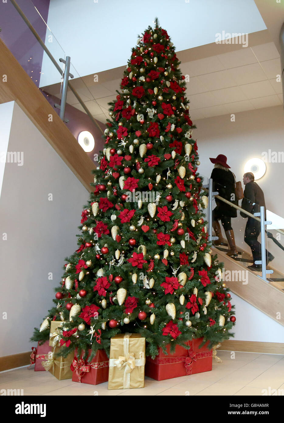 Princess royal stand hi-res stock photography and images - Alamy