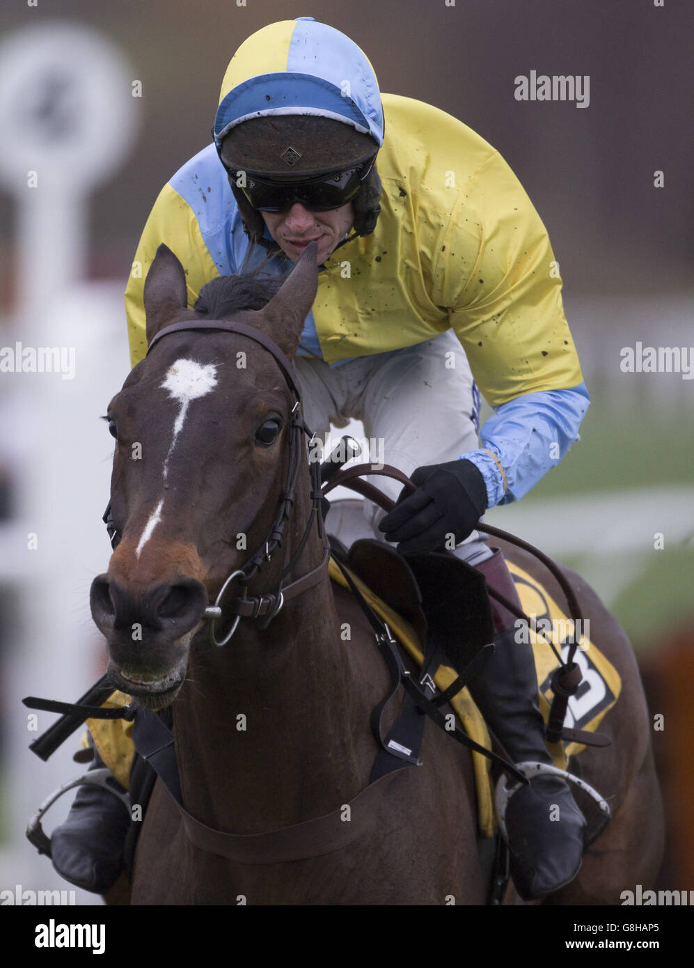 Cheltenham Races - The International - Day Two Stock Photo - Alamy