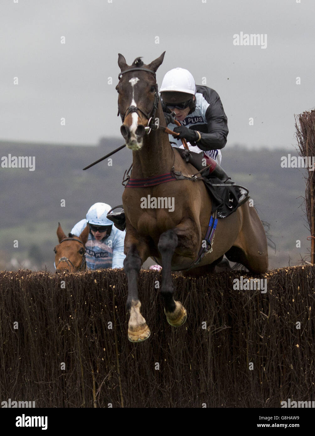 Cheltenham Races - The International - Day Two Stock Photo - Alamy