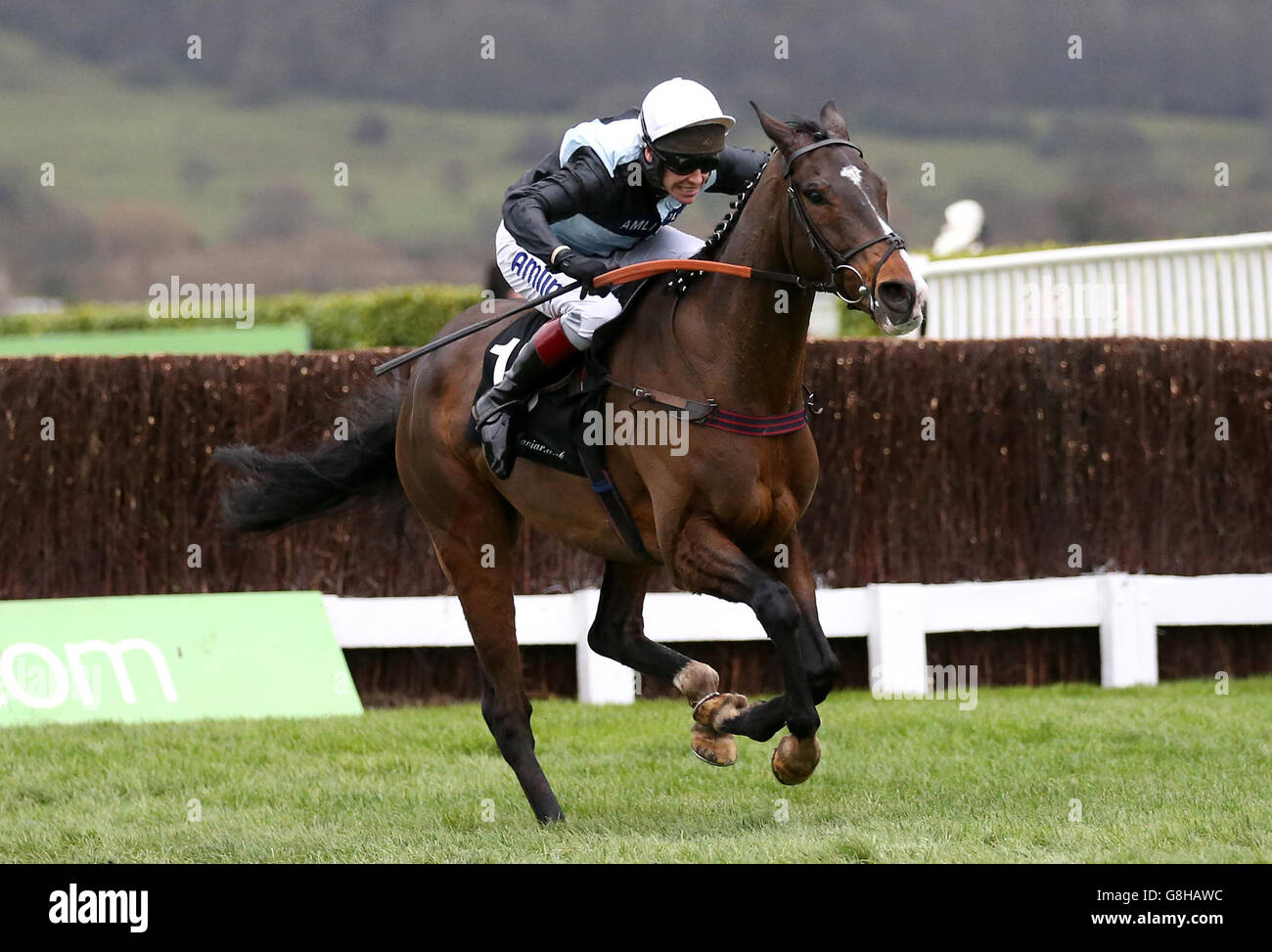 Cheltenham Races - The International - Day Two Stock Photo - Alamy