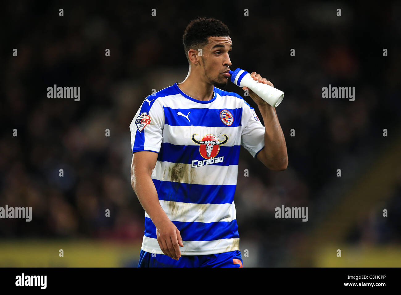 Hull City v Reading - Sky Bet Championship - KC Stadium. Nick Blackman ...