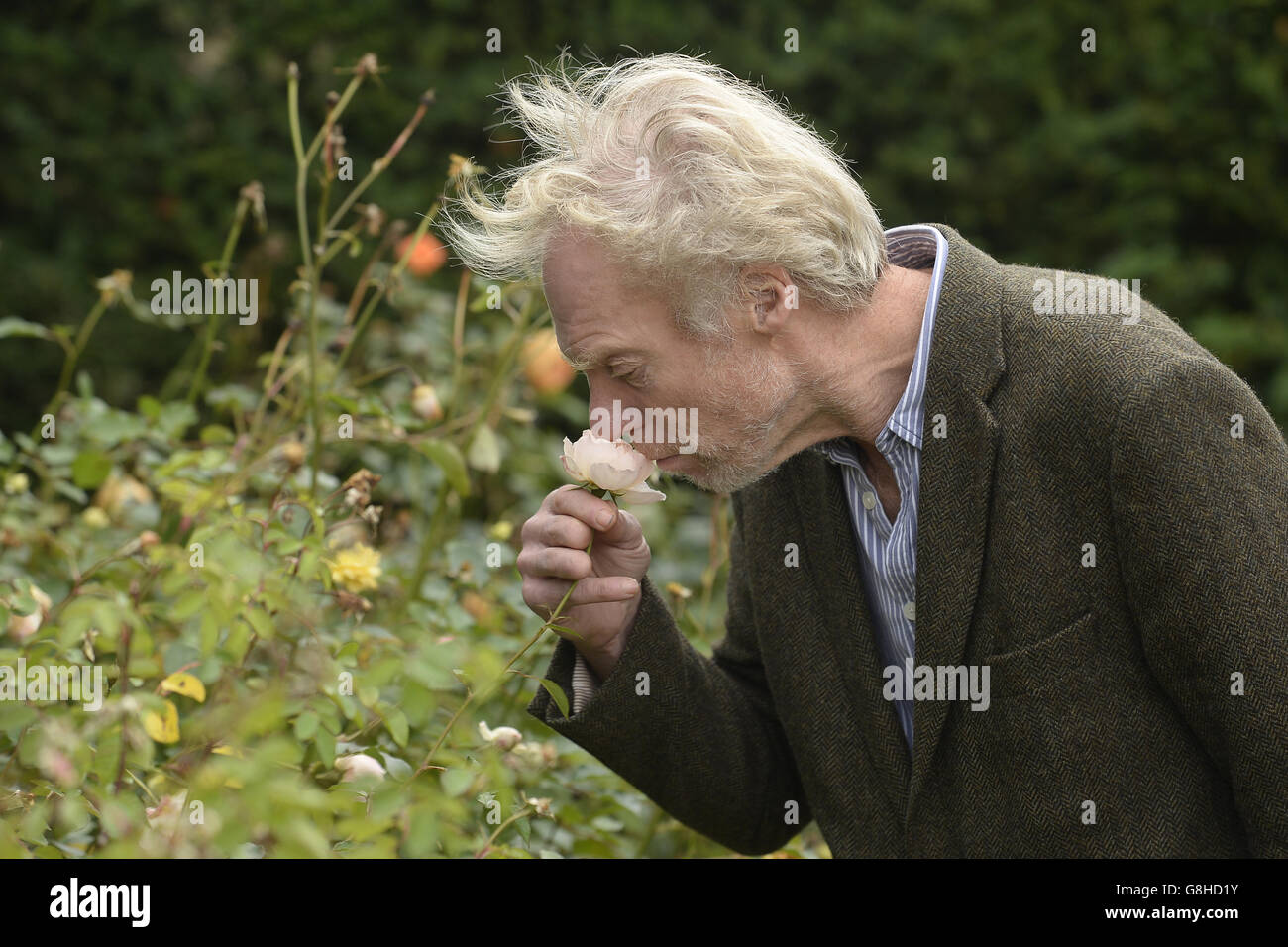 Michael marriott rose hi-res stock photography and images - Alamy