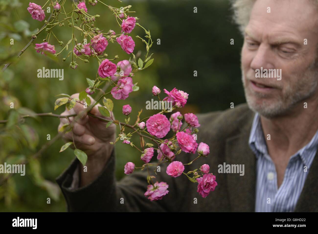 Michael marriott rose hi-res stock photography and images - Alamy