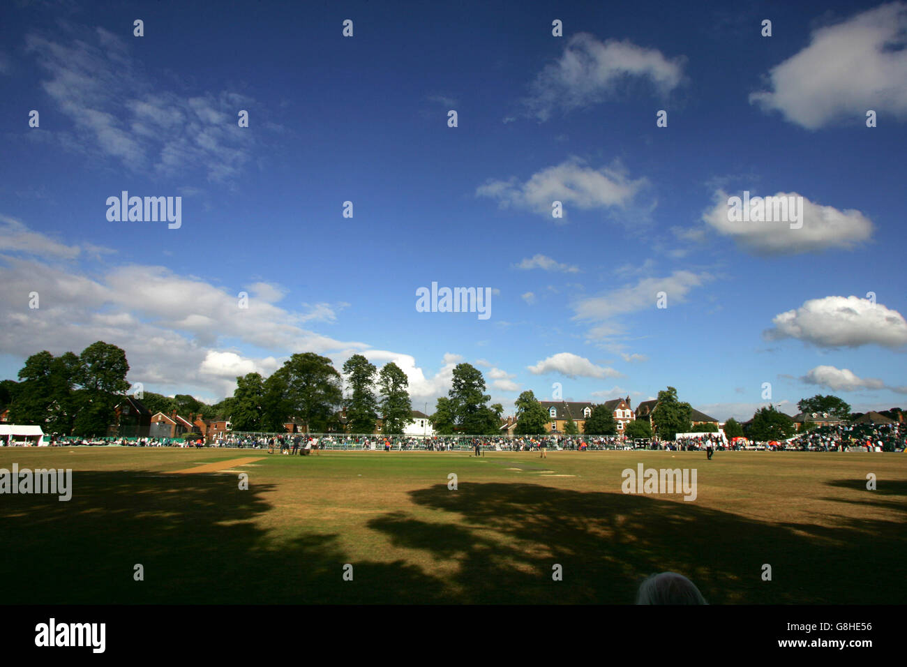 Cricket - totesport National Cricket League - Division Two - Surrey ...