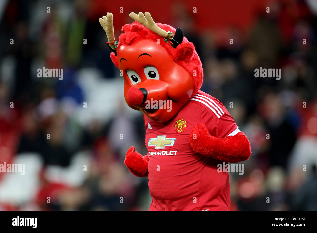 Norwich city mascot hi-res stock photography and images - Alamy