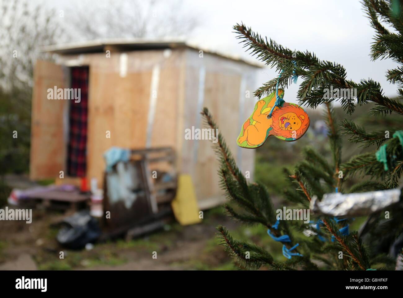 A Christmas tree amongst shelters at the Jungle refugee camp in Calais ...