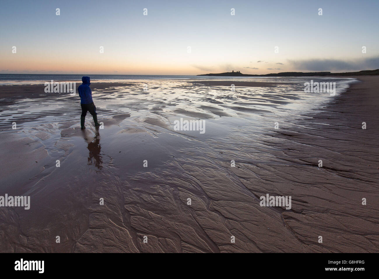 The sun rises over dunstanburgh castle hi-res stock photography and ...