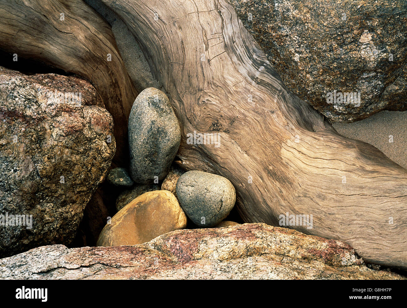 Pebbles with driftwood, South Africa Stock Photo - Alamy