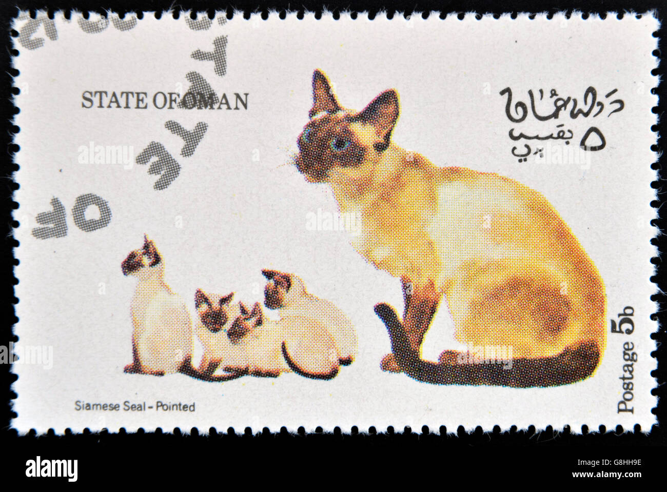 Siamese stamp hi-res stock photography and images - Alamy