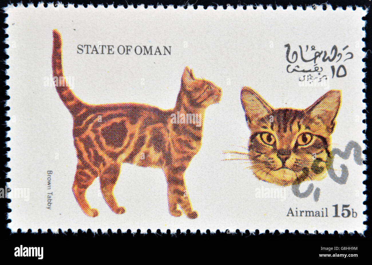 OMAN - CIRCA 1973: stamp printed in State of Oman dedicated to cats shows brown tabby, circa ...