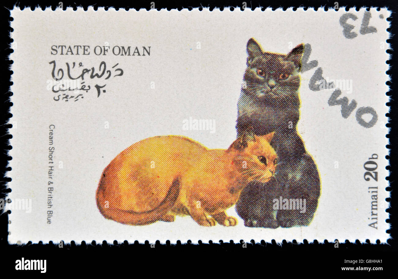 OMAN - CIRCA 1973: stamp printed in State of Oman dedicated to cats shows cream short hair and ...