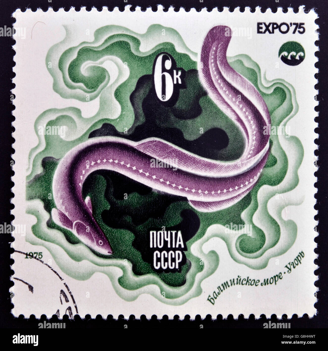 USSR- CIRCA 1975: A stamp printed in Russia shows Chrysiptera, circa ...