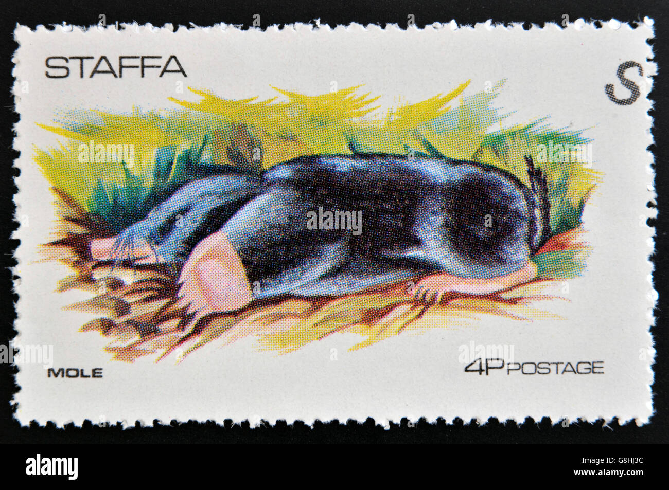 STAFFA - CIRCA 1973: stamp printed in Staffa shows mole, circa 1973 ...