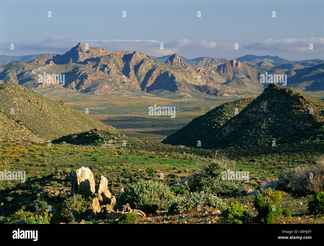 Richtersveld Mountain