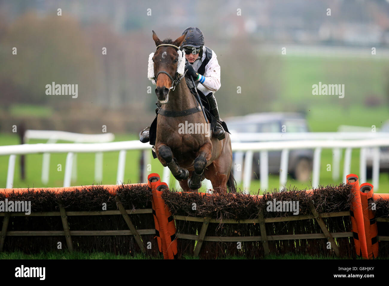 Horseracing races horses full length action hi-res stock photography ...