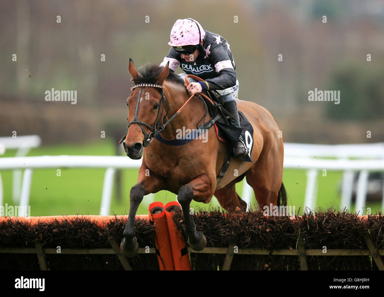 Horseracing races horses full length action hi-res stock photography ...