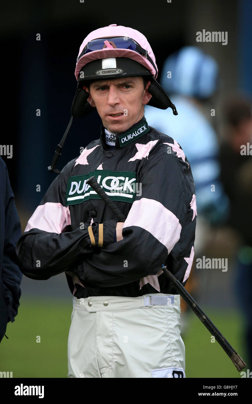 Horses Horse Races Racing Mid Length Half Top Half High Resolution ...