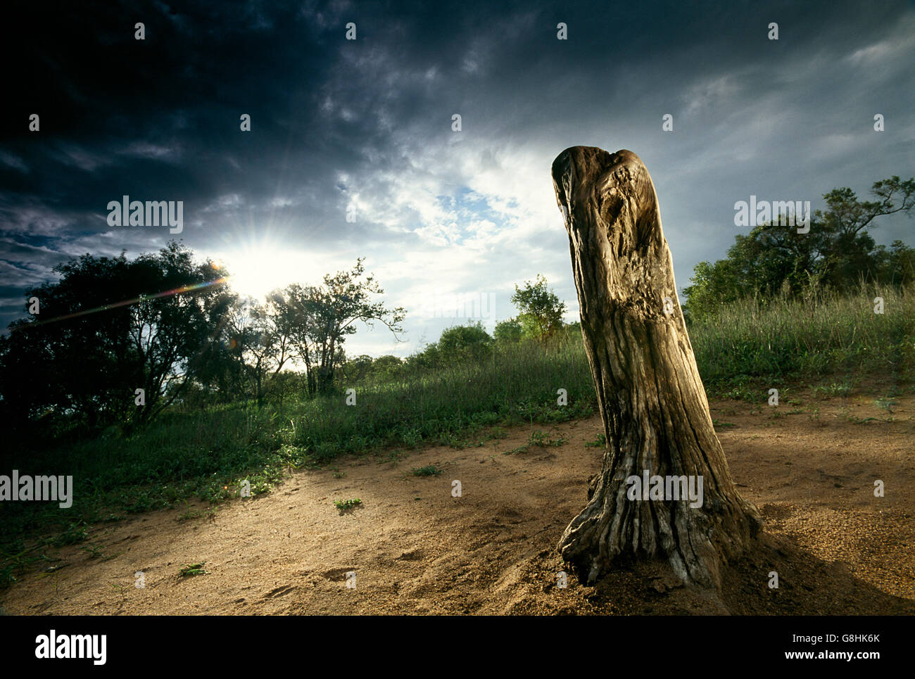 Rubbing pole hi-res stock photography and images - Alamy